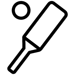 cricket bat icon