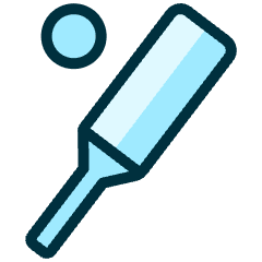 cricket bat icon