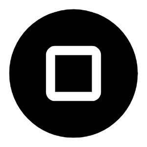 iphone action button icon