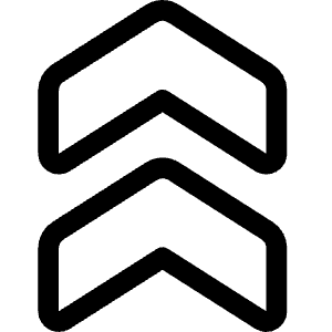 double up arrow logo