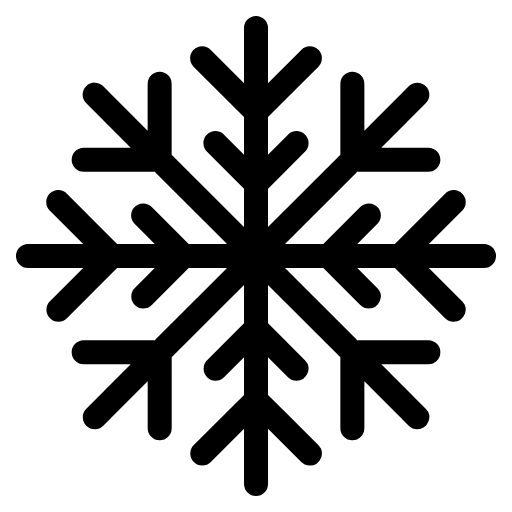 black snowflake icon